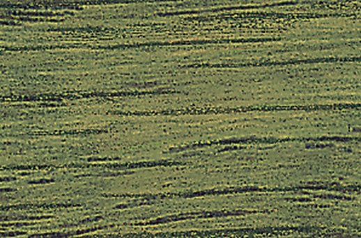 Minwax® Water Based Wood Stain - Sherwin-Williams